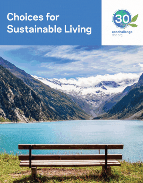 From Conversations to Action: The Evolution of Choices for Sustainable Living - Ecochallenge.org