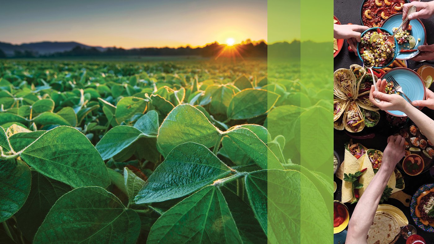 Bunge Ecochallenge 2025: Collective Impact and Reflections ...